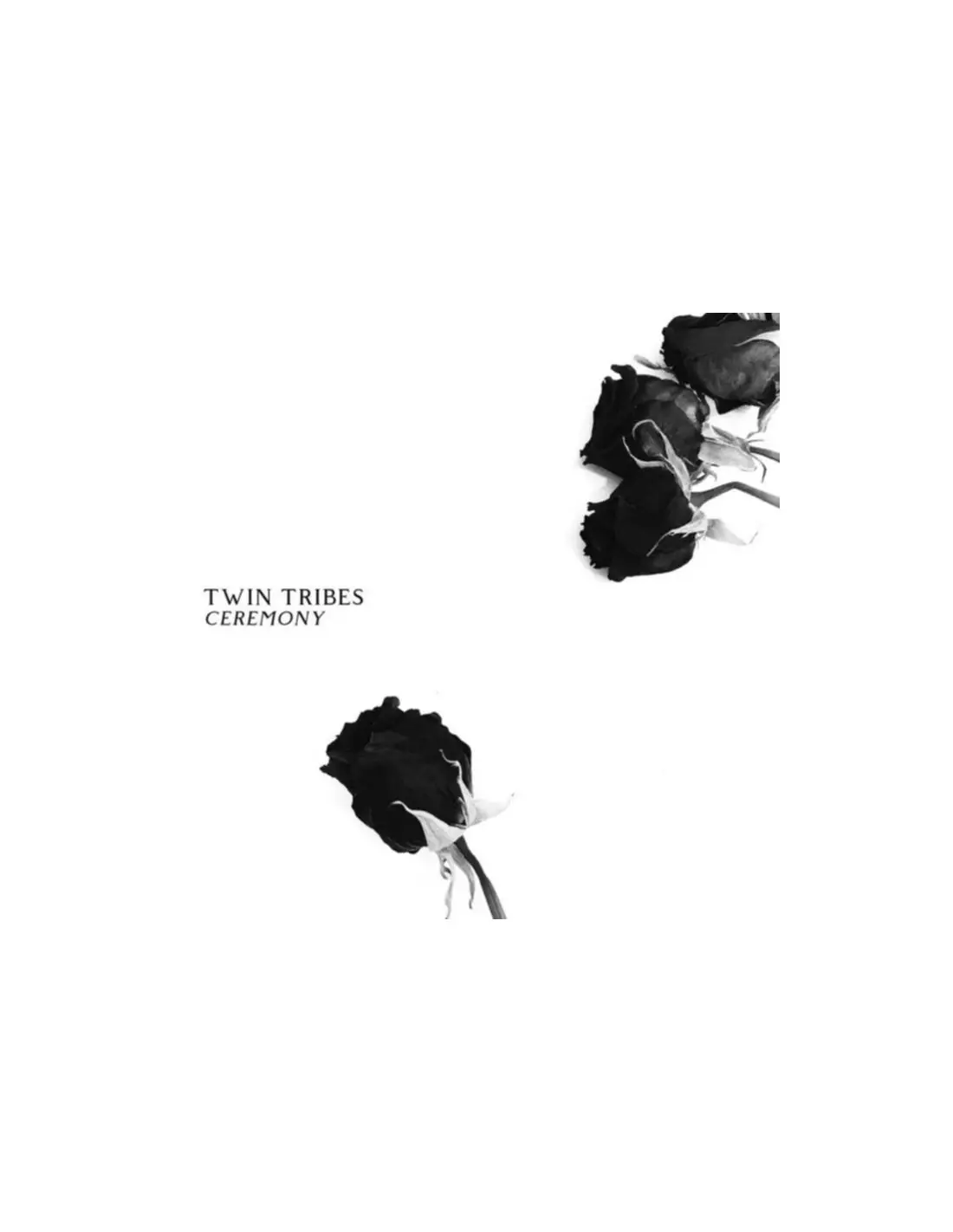 Twin Tribes - Ceremony - (CD) only €17.99 CD buy online